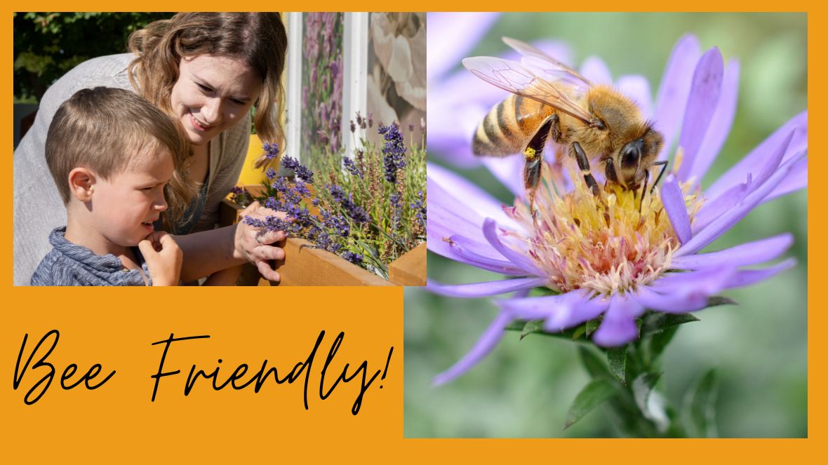 Bee-Friendly Gardening Tips! - Planet Bee Honey Farm