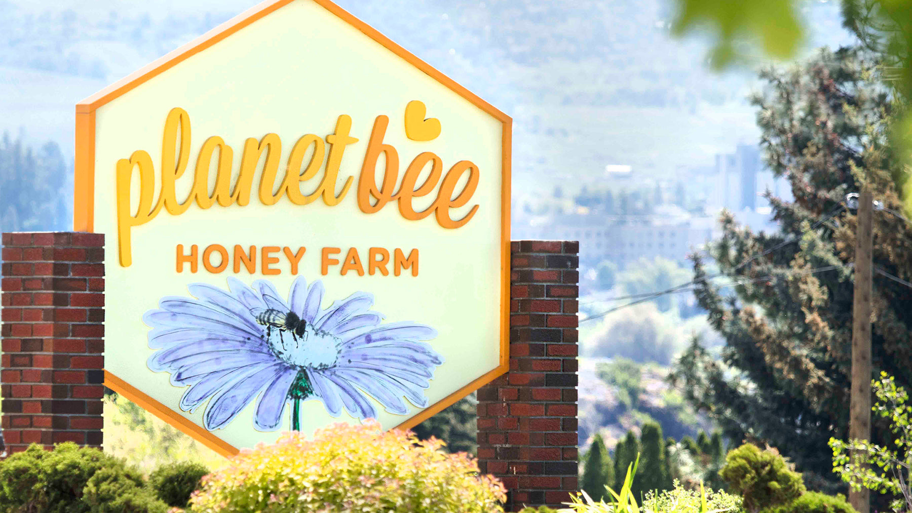 Origins - Planet Bee Honey Farm