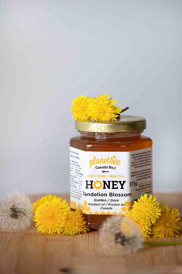 Dandelion Blossom Honey - Product of Canada, 100% Raw! - Planet Bee ...